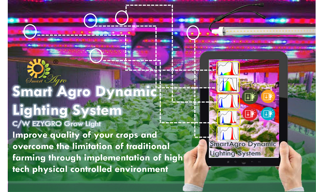 Our Services - Arianetech Pte Ltd